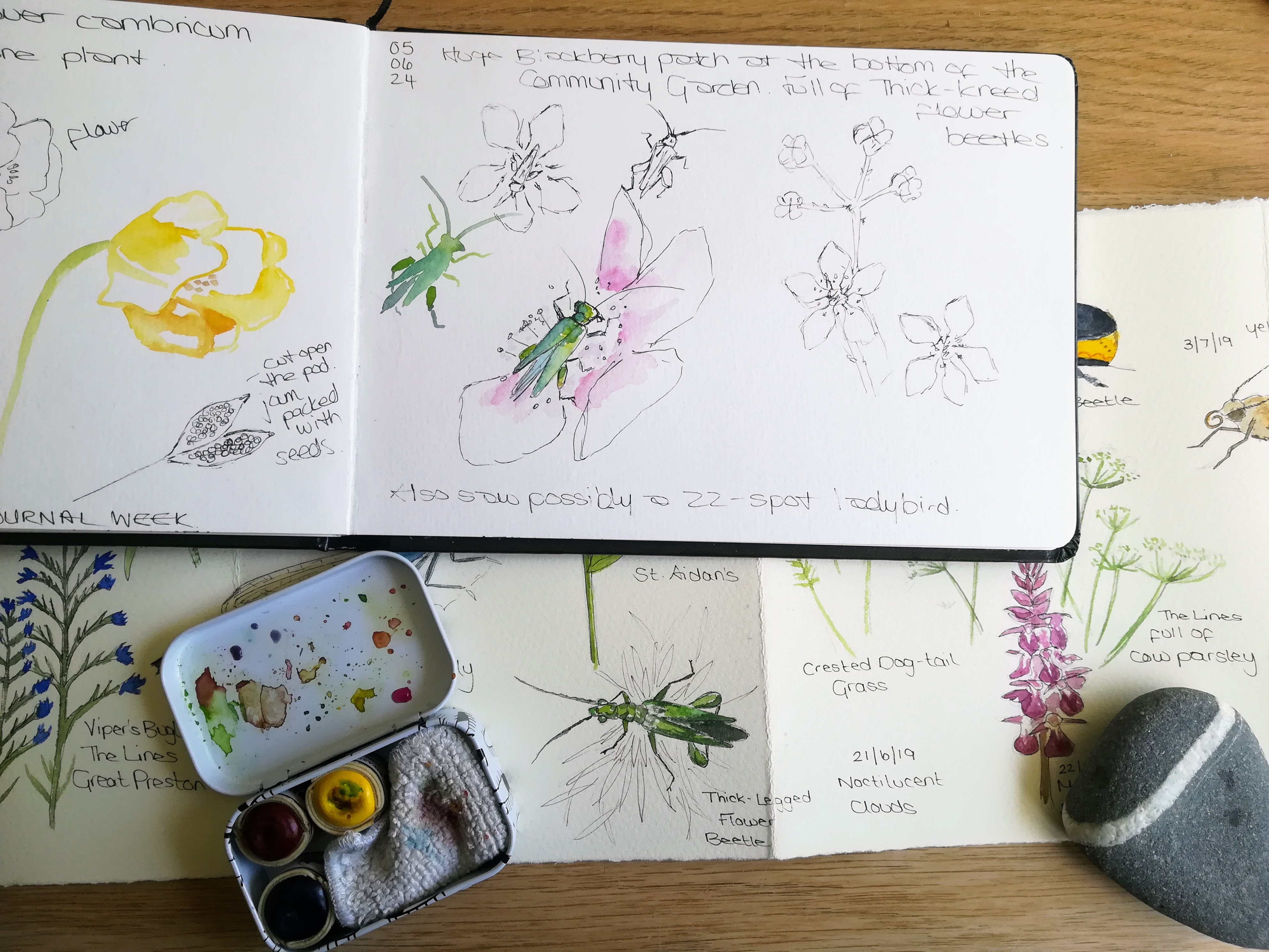 Garforth Nature Journal Club | Leeds Inspired
